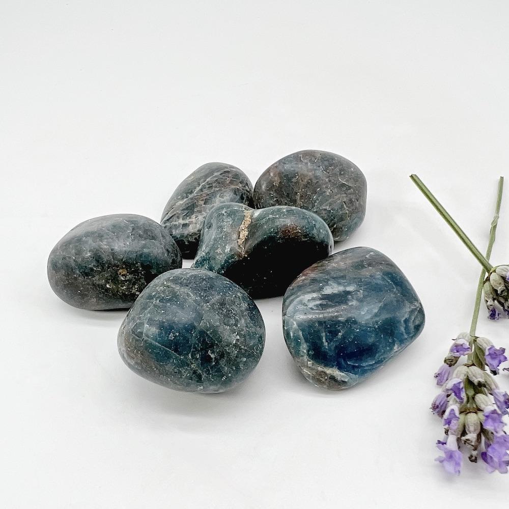 Apatite Tumbled | Vikki Gadd